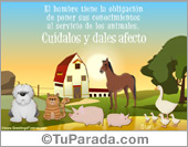 Si Fuera Un Animal | Plagda Infantil